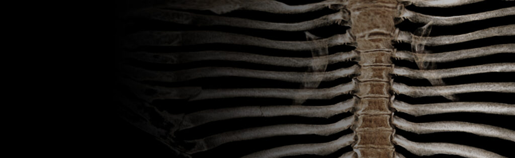 Canon Medical Informatics - Home